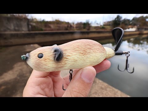Watch DAM FISHING with a HUGE BEAVER LURE!! Video on Tackle.net