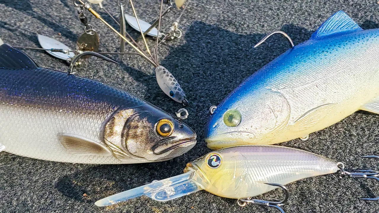 How do I fish bigger fishes?