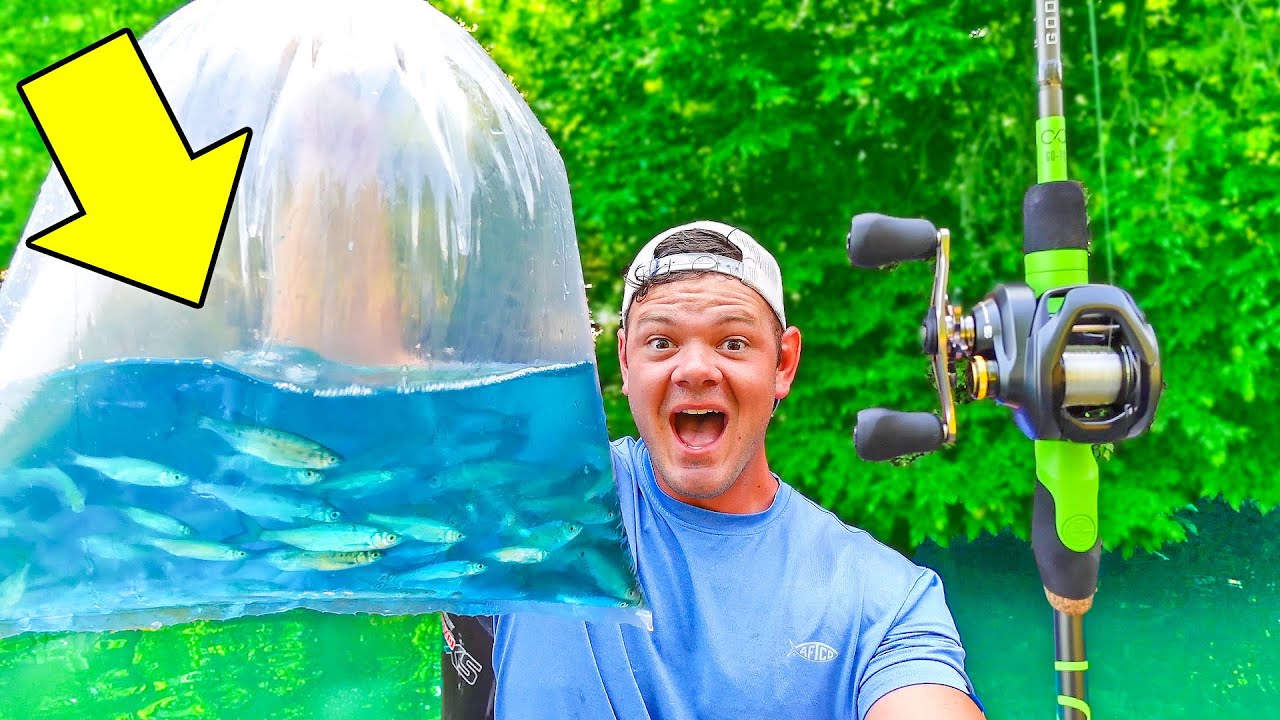 Watch LIVE BAIT Fishing For Big AGGRESSIVE Fish! Video on Tackle.net