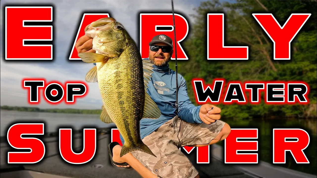 Watch Topwater Baits And Finesse Tricks For The Early Summer Transition ...