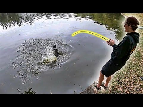 Watch We CAUGHT the POND MONSTER!! (Over 40 LBS) Video on Tackle.net