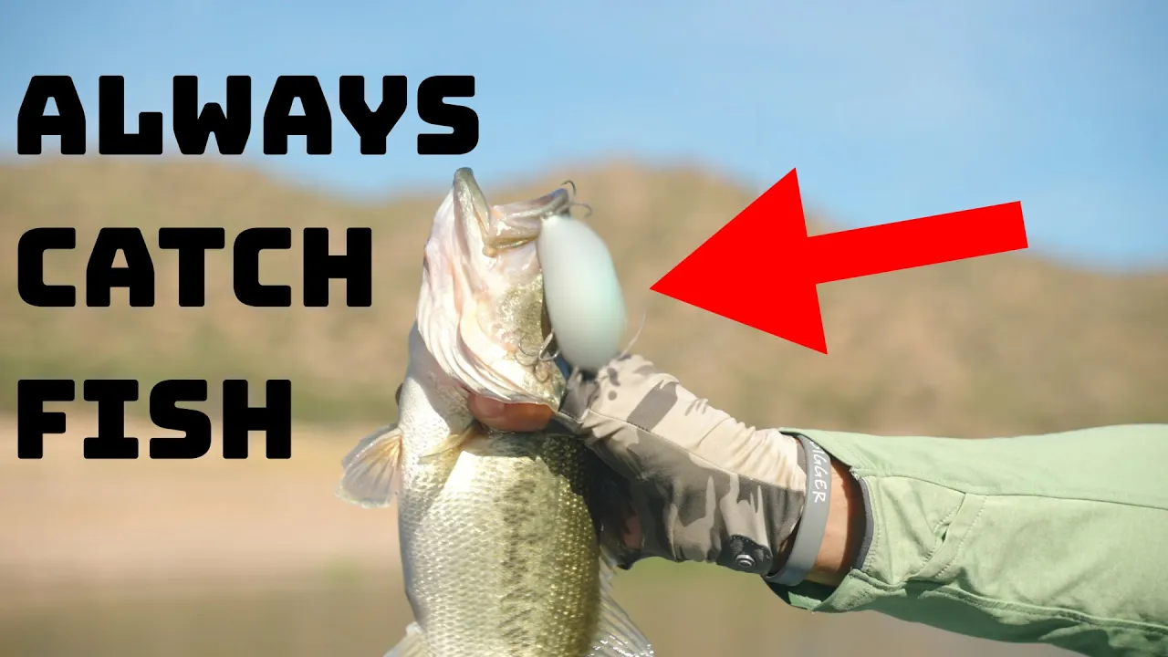 Watch This Is The Only Reaction Bait You Need When The Fish Go Shallow ...