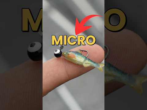 Watch Can We Catch A Fish On This MICRO Swimbait? #fishing # ...