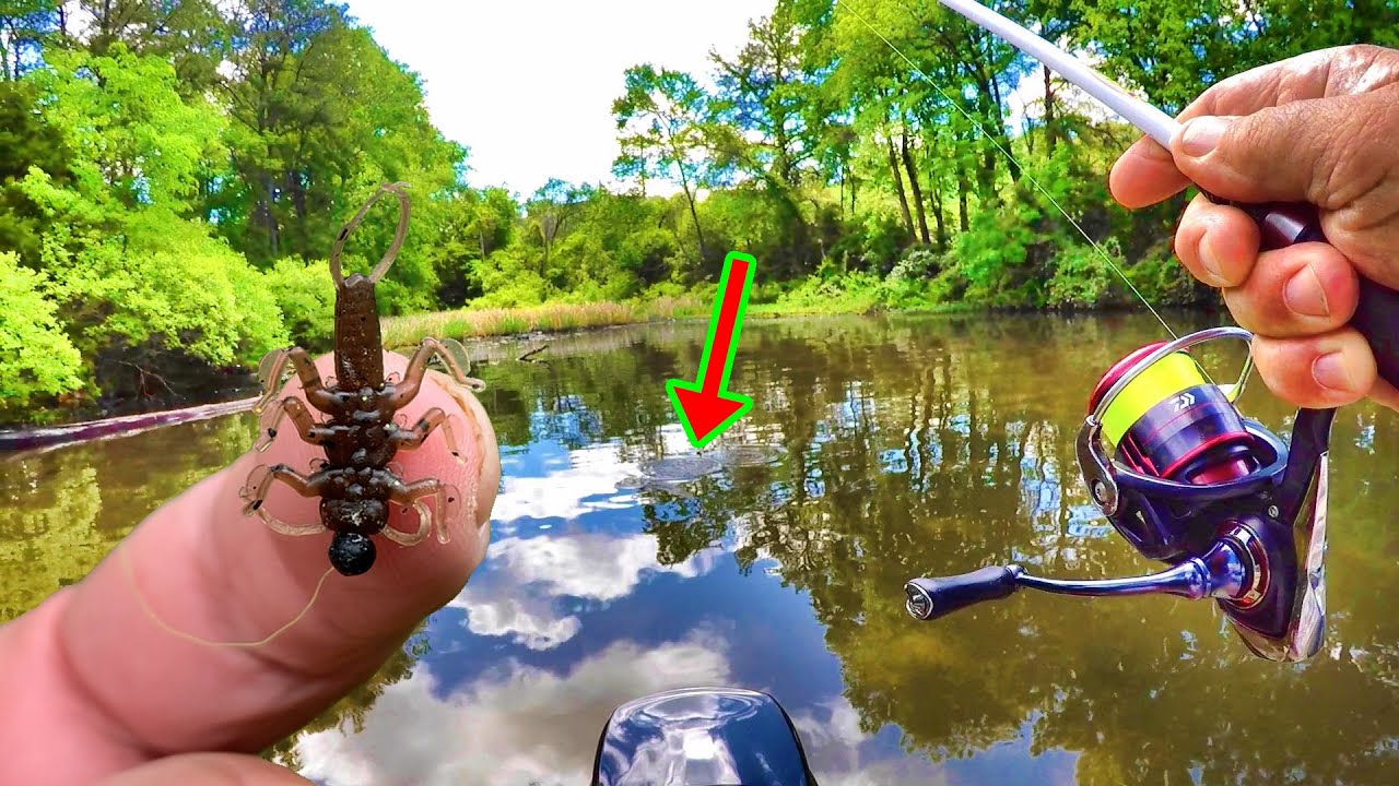 Watch You Can Catch Shellcracker After Shellcracker ALL DAY LONG Doing ...