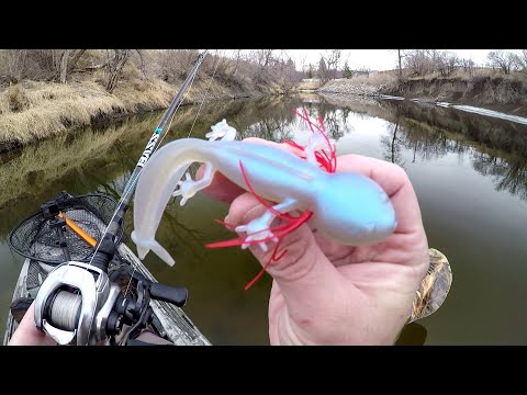 Watch Big Fish Eat Salamanders! Video on Tackle.net