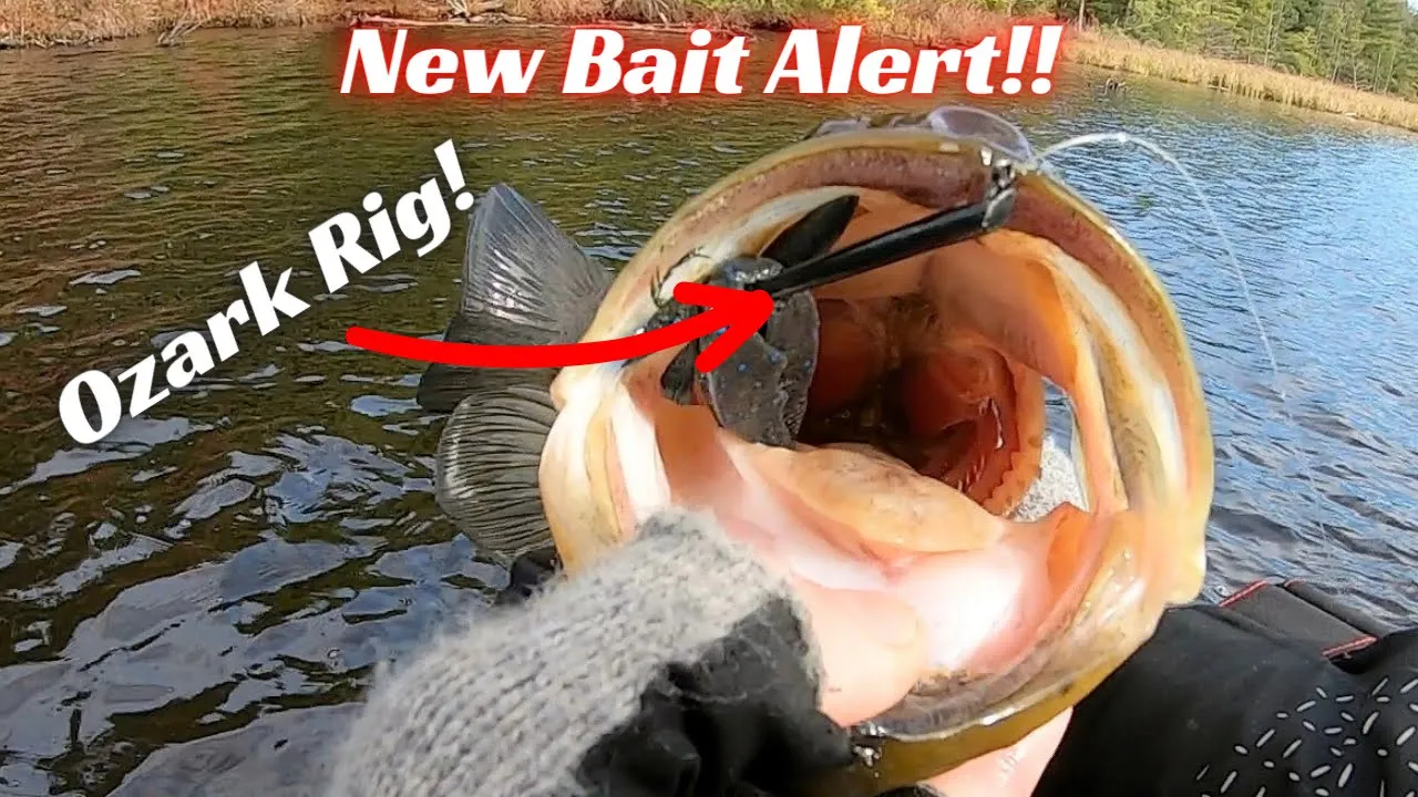 Watch NEW Bait Alert! The Ozark Rig!!! Video on Tackle.net