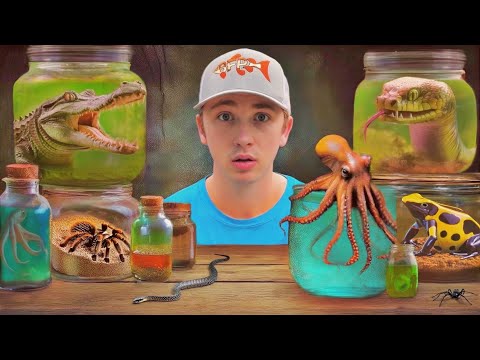 Watch I Found The Deadliest Animals On The Dark Web! Video on Tackle.net