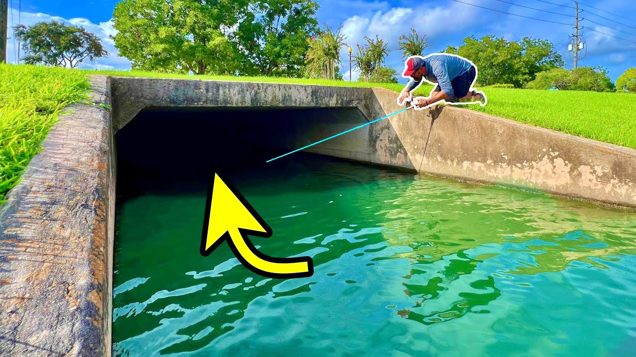 Watch We FINALLY caught the TUNNEL MONSTER!!! Video on Tackle.net