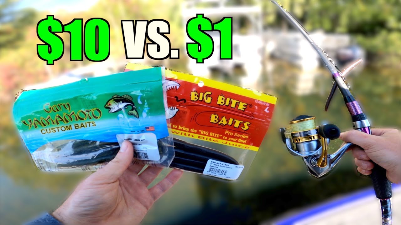 What's the best deal for senkos?