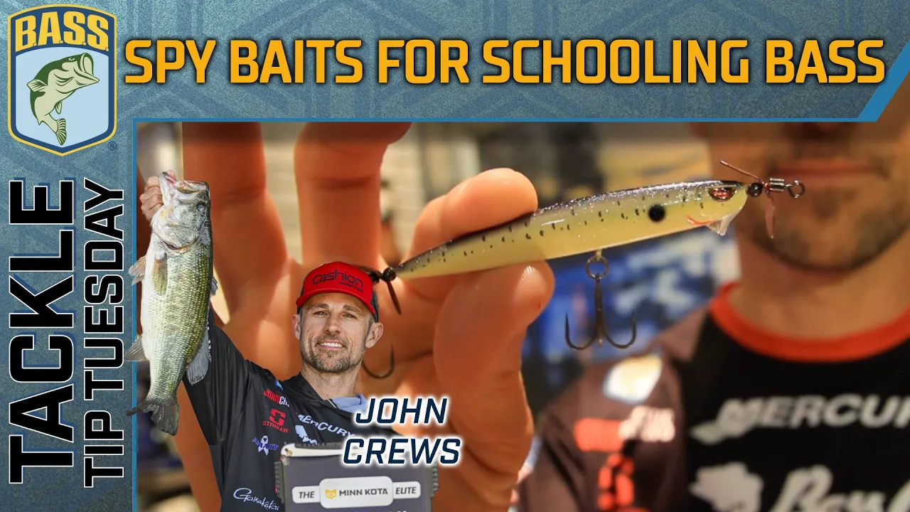 Watch Add Spy Baits to your Schooling bass arsenal Video on Tackle.net