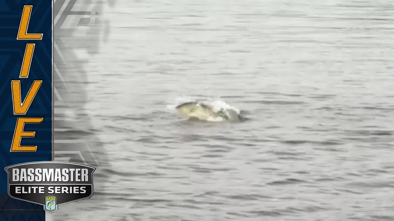 Watch Lake Murray bass exploding on bait fish by Trey McKinney Video on ...