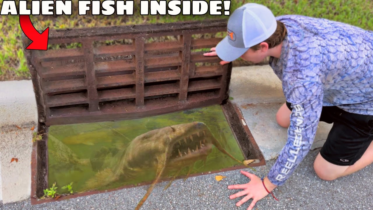 Watch I Found a Mysterious Sewer INFESTED with Alien Fish! Video on ...
