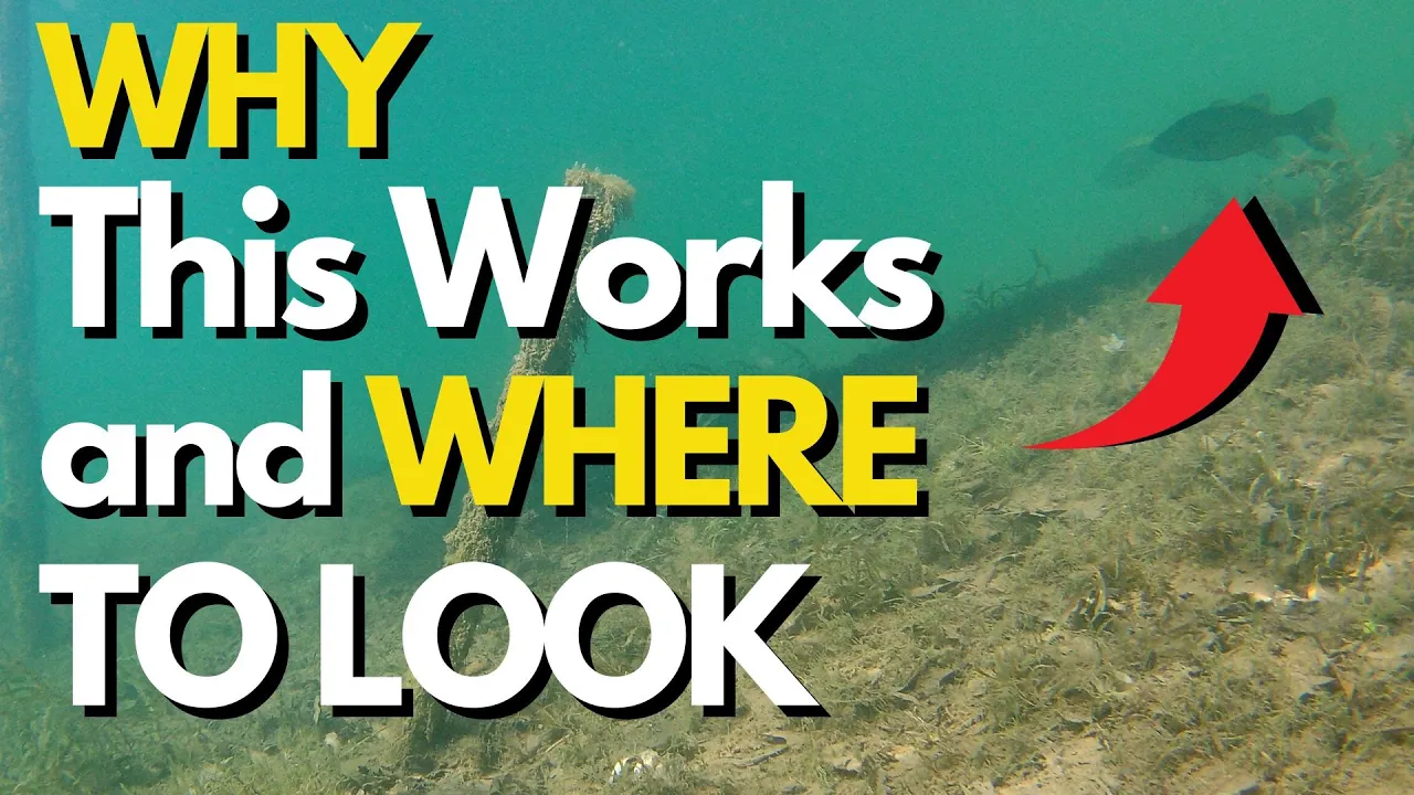 What rigging and lures should I use to catch bass from the shoreline at ...