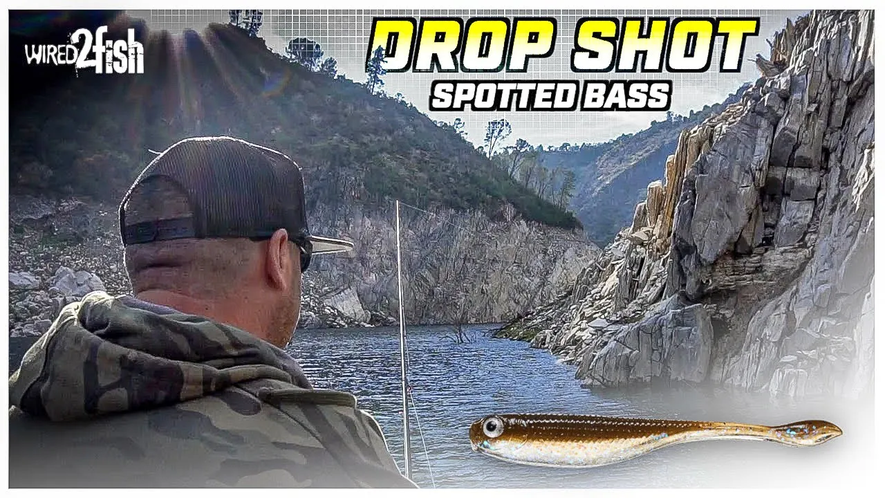 Watch How to Catch Spotted Bass | Drop Shot Rig Steep Walls Video on ...