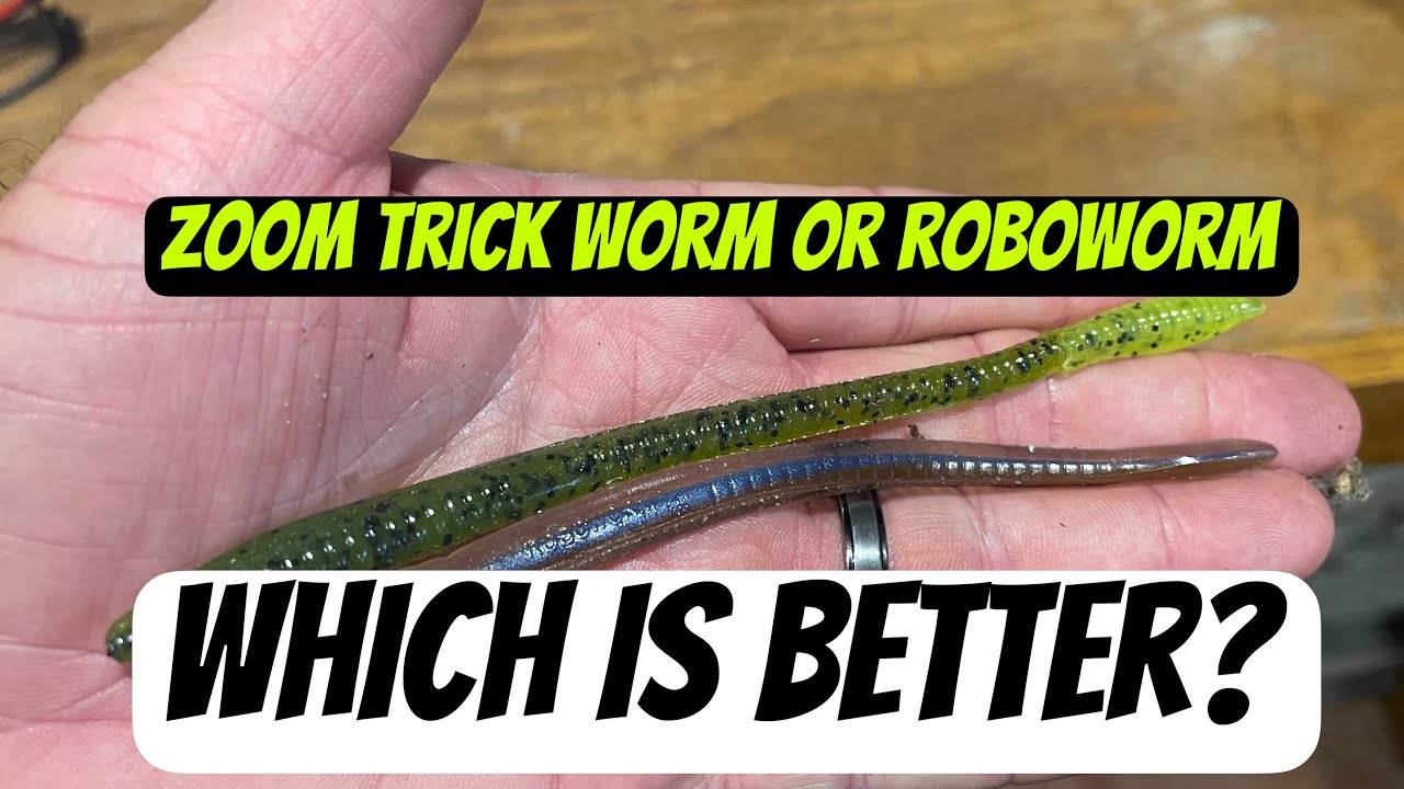When should I change my Roboworm?