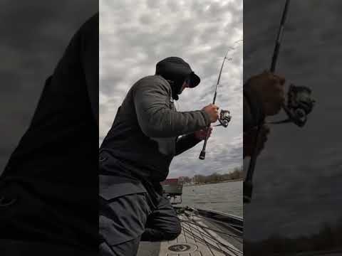 Watch You won’t believe what I caught in a tournament Video on Tackle.net