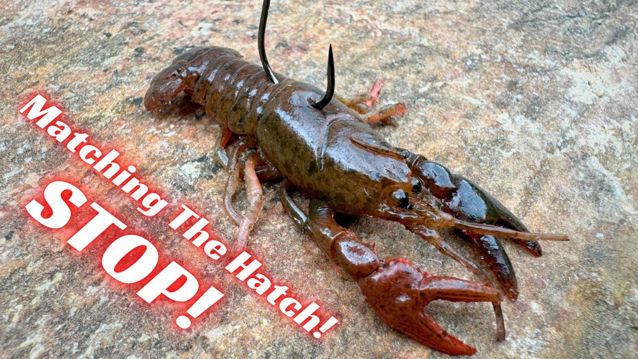 Watch STOP Matching The Hatch! It’s Not That Important… Or Is It? Video on Tackle.net