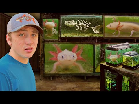 Watch I Found an Abandoned Axolotl Farm Video on Tackle.net