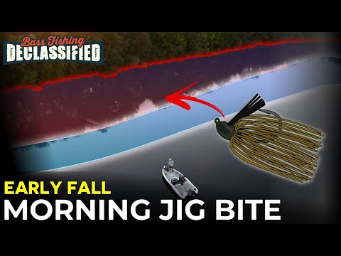 Watch So Many Anglers Miss This Easy Early Fall Jig Bite in the Morning ...