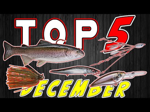 Watch Top 5 Baits For December Bass Fishing! Video on Tackle.net