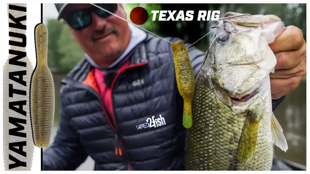 Watch How to Fish the Yamamoto Yamatanuki | Texas Rig Video on Tackle.net