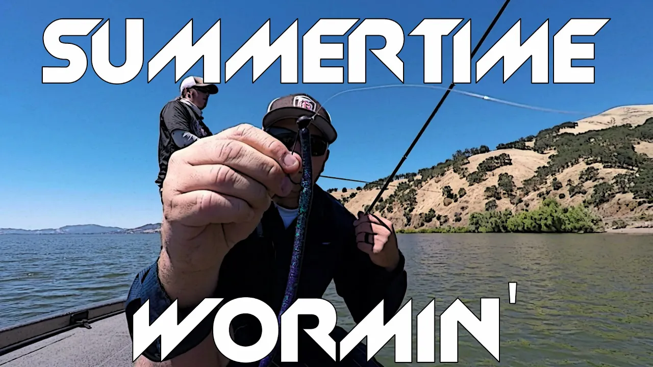 Watch Best Worm Types and Colors for Summer Bass Fishing Video on ...