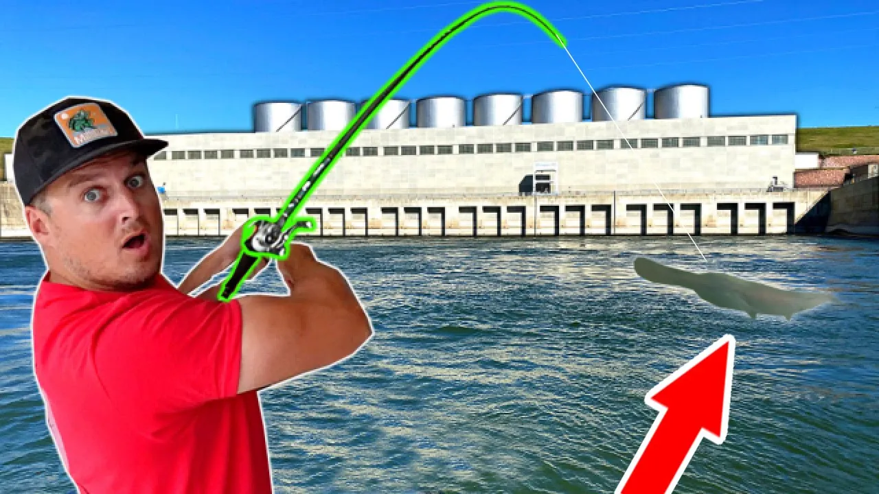 Watch Battling 100 POUNDS of GIANT Prehistoric Spillway Fish!! (INSANE ...