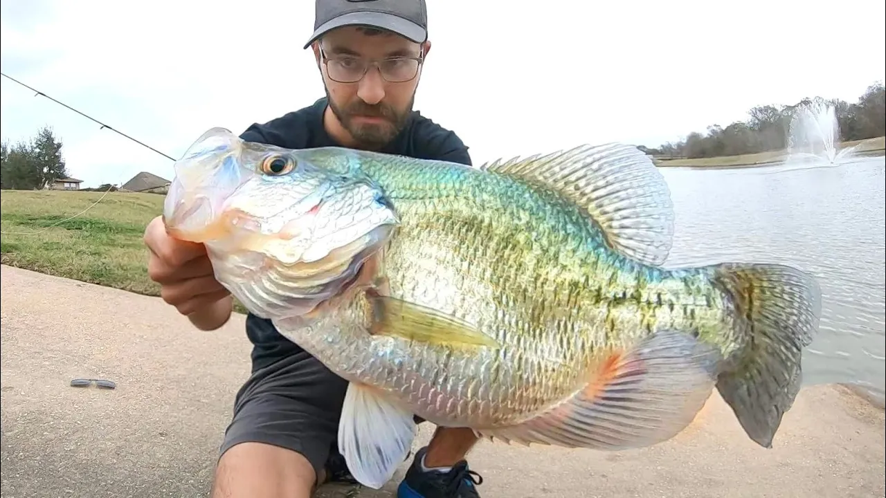 Watch I’ve BEEN CHASING THIS CRAPPIE FOR YEARS!! (INSANE) Video on ...