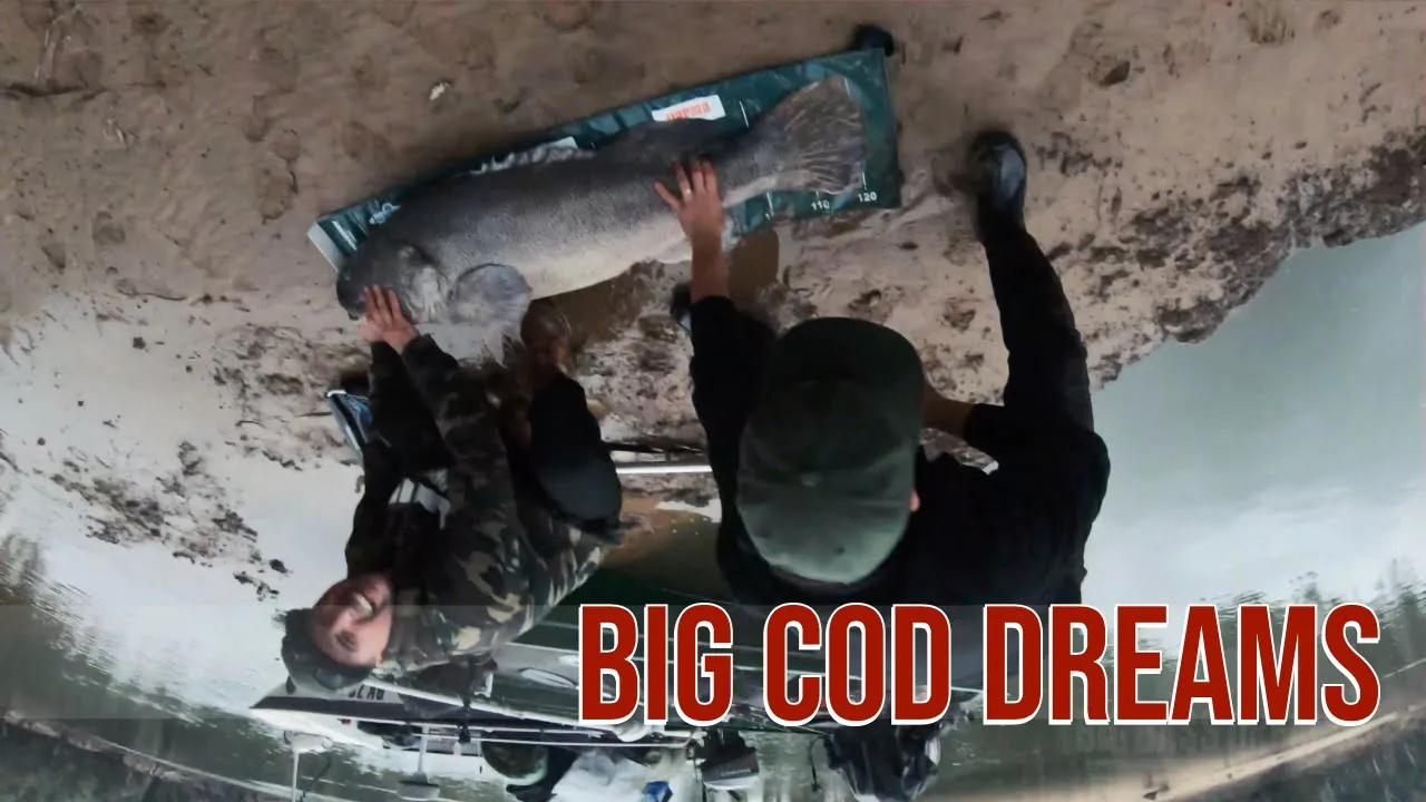 Watch Murray Cod are NOT easy to Catch - Big Cod Dreams Part 2 Video on ...