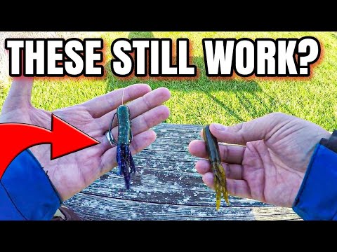 Watch Testing the Secret "STUPID Tube" Rig (Worth it???) Video on ...