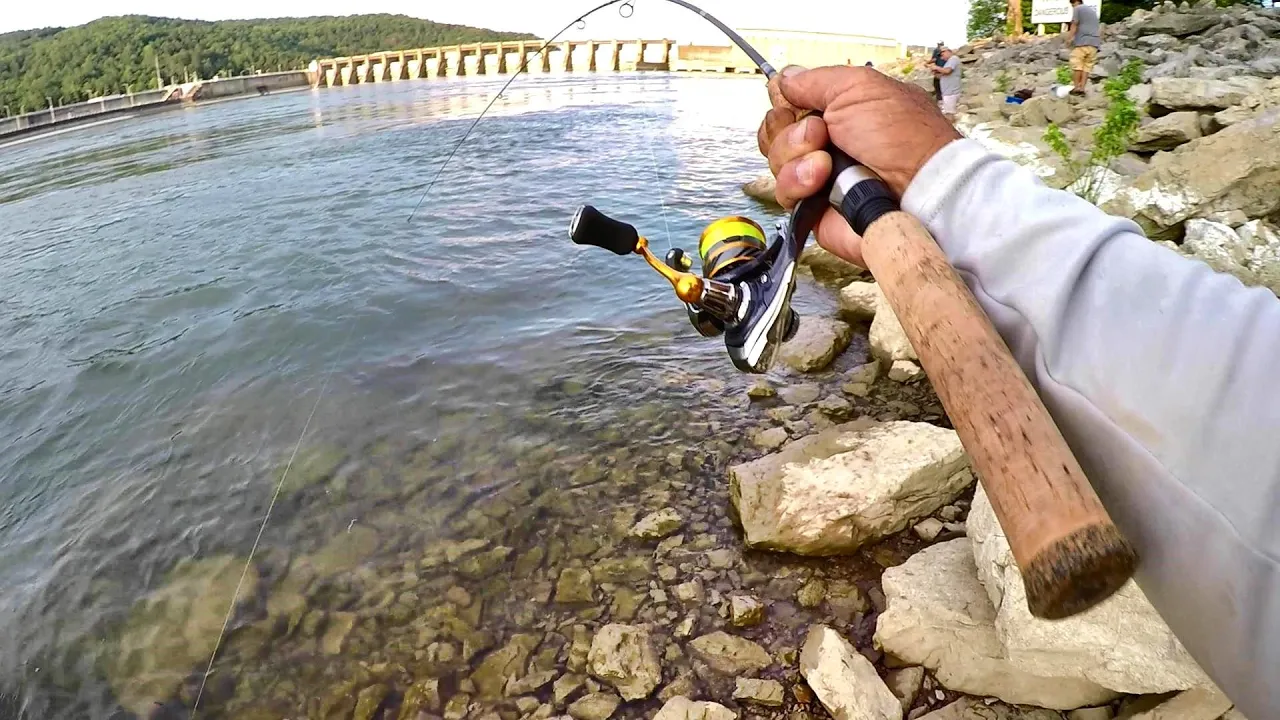 Watch Jumping Rocks For BIG Bluegill! Catch Tons Of Bluegill With This ...