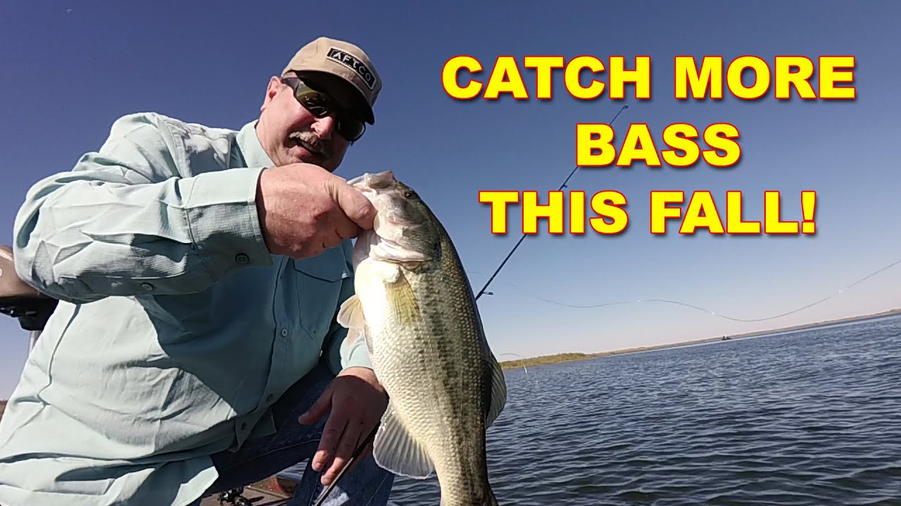 Watch Setting Yourself Up For FANTASTIC Fall Bass FISHING! | Bass ...