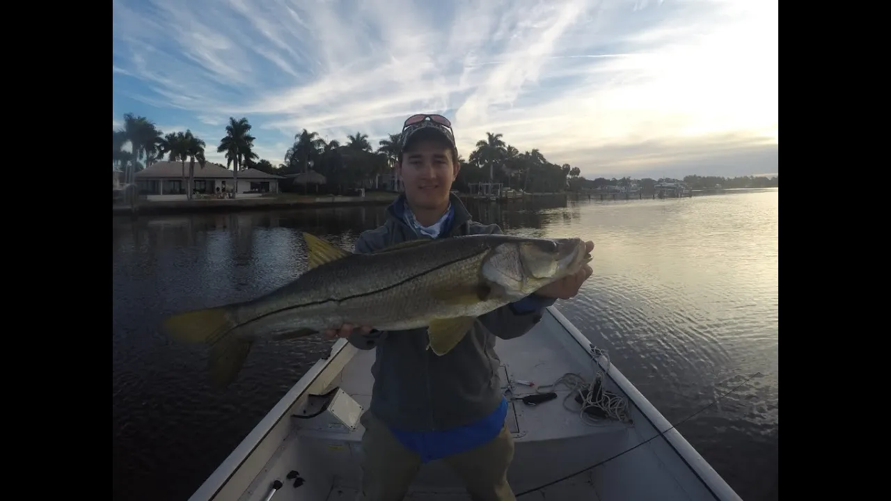 Watch Topwater snook and jack Video on Tackle.net