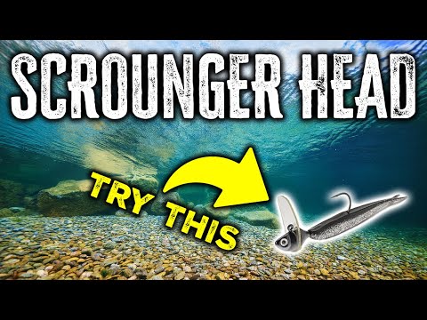 Watch How to Fish Scrounger Heads: Will Davis Jr.'s Proven Big Bass ...