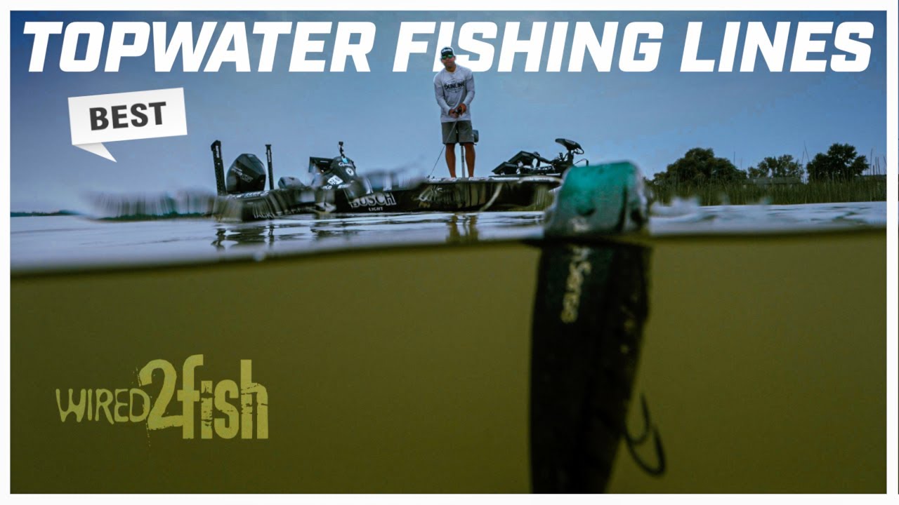 Watch Best Topwater Fishing Line Tips from Lee Livesay Video on Tackle.net