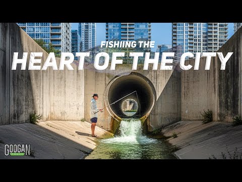 Watch URBAN FISHING the CONCRETE JUNGLE! (Austin Texas Ep. 1) Video on ...