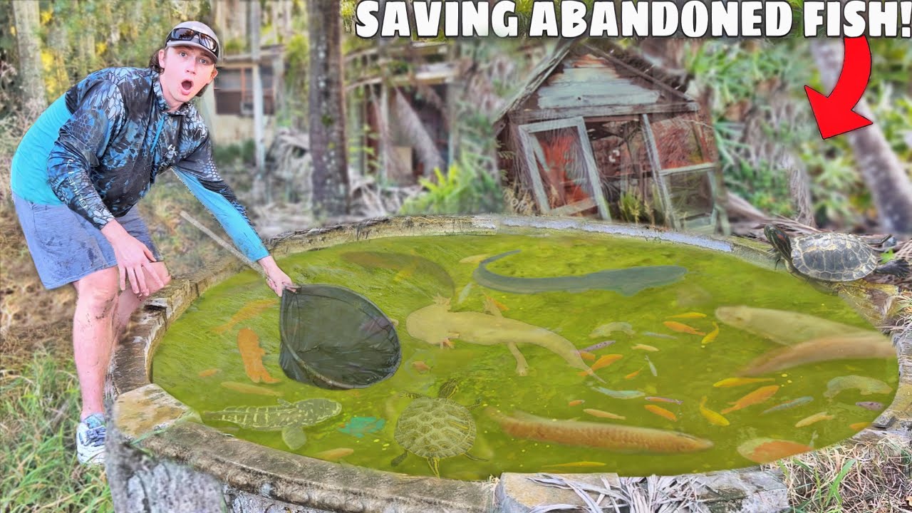 Watch Saving Fish & Turtles From ABANDONED POND! Video on Tackle.net