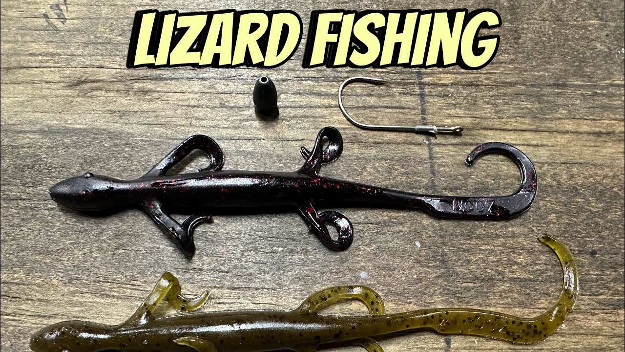How do I fish with lizards?