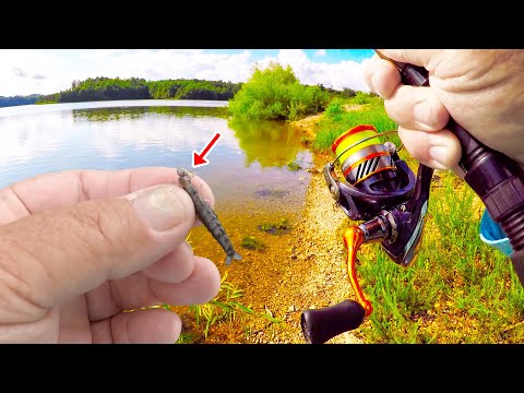 Watch If You Like To Eat Bream THIS Bait Is A Bream Catching Machine ...