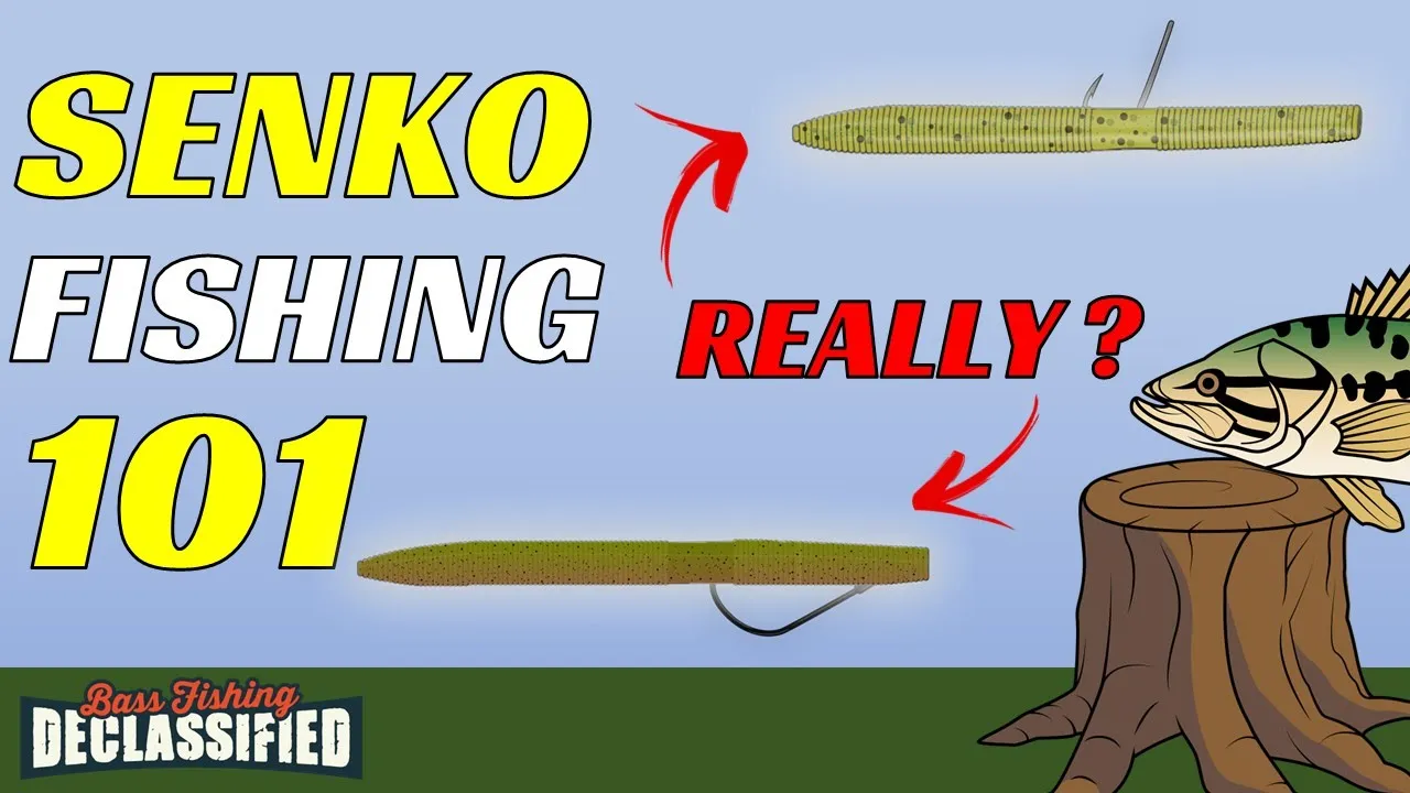 Watch Everything You Need To Know About Fishing A Senko In The Spring ...