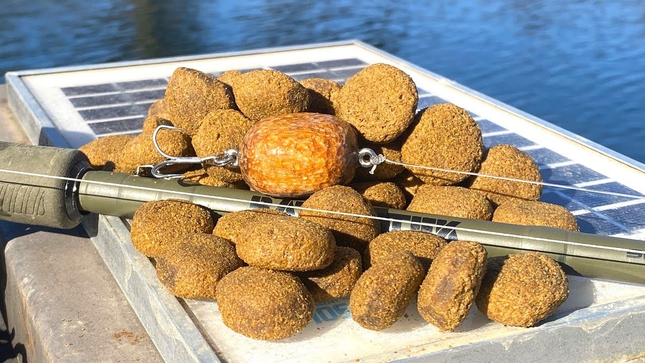 Watch Fake Wooden Food Pellet | One Day Build to Catch Video on Tackle.net