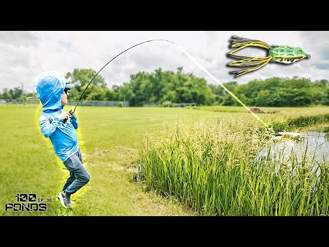 Watch Frog Fishing For Bass At A WEEDY Pond! (100 Ponds Ep. 36) Video ...